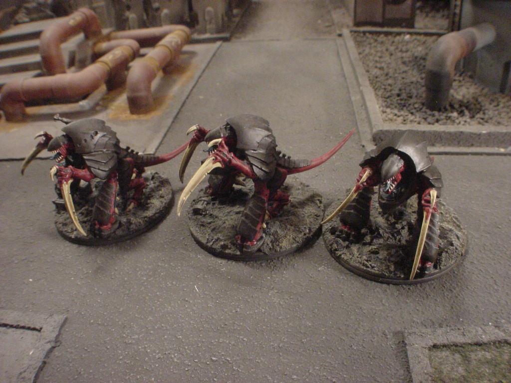 Tyranids, Tyrant Guard, Unit, Warhammer 40,000 - Gallery - DakkaDakka