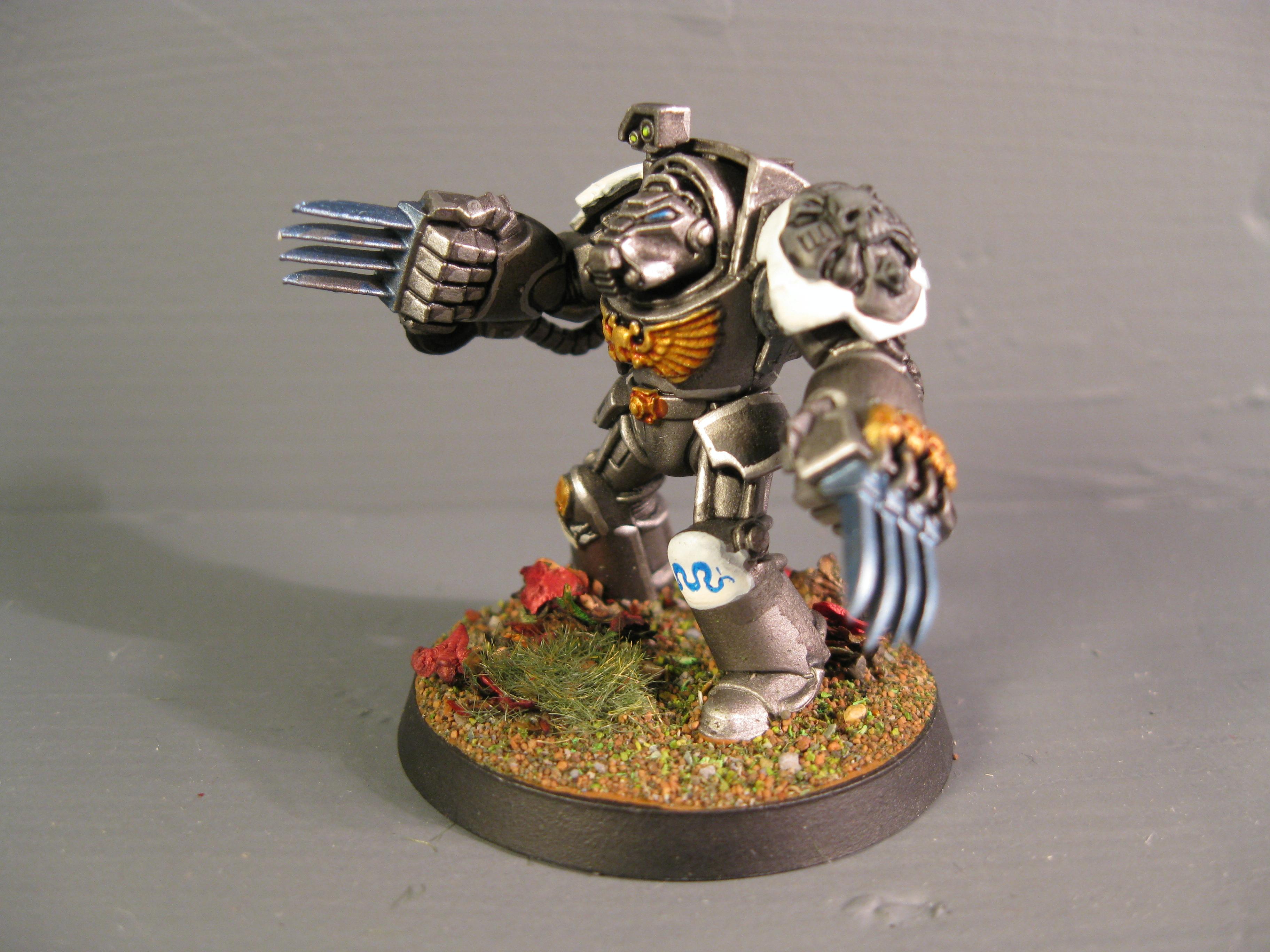 Iron Snakes, Pro Painted, Space Marines, Warhammer 40,000 - Gallery ...
