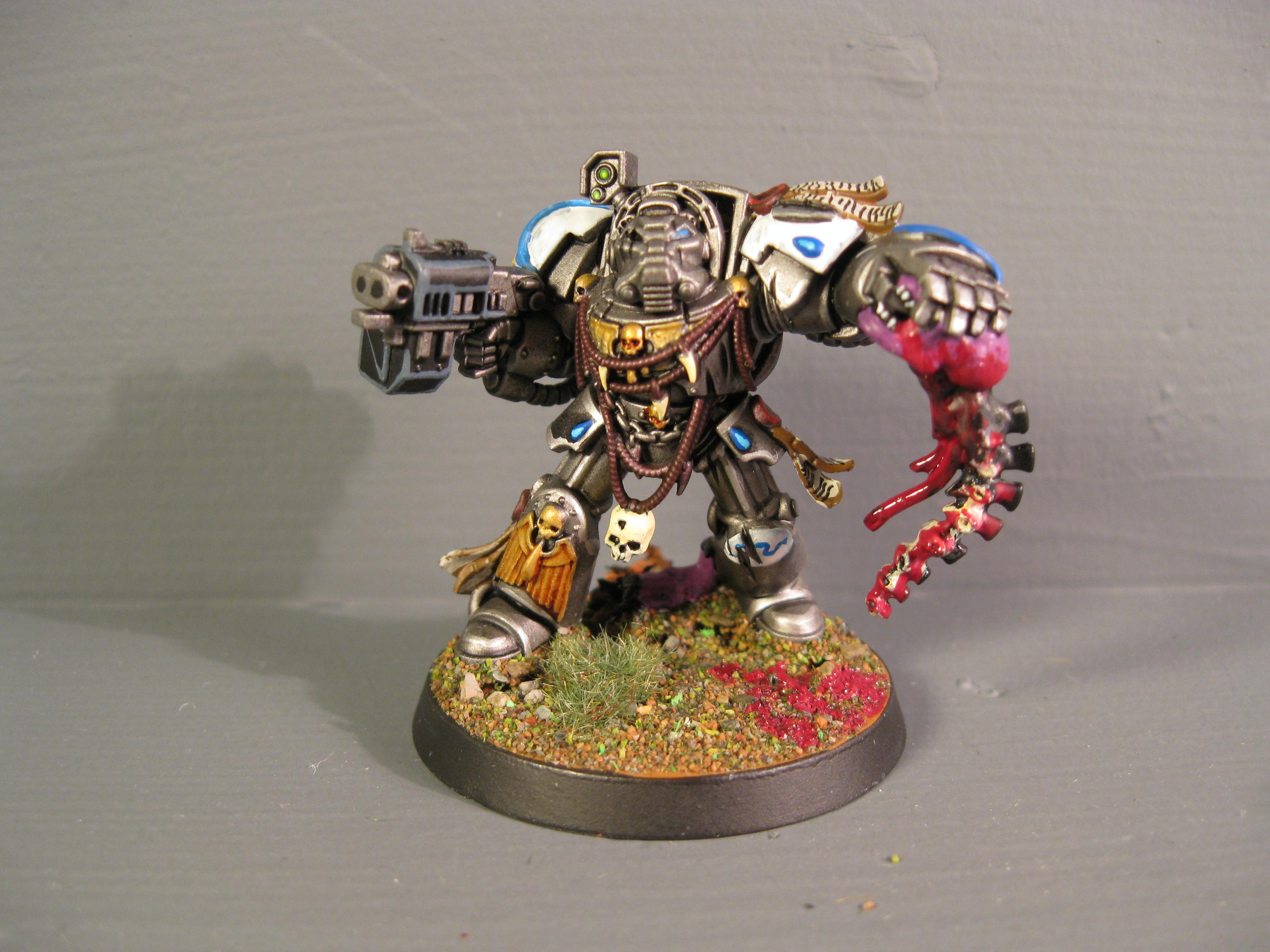 Iron Snakes, Pro Painted, Space Marines, Terminator Armor, Warhammer ...