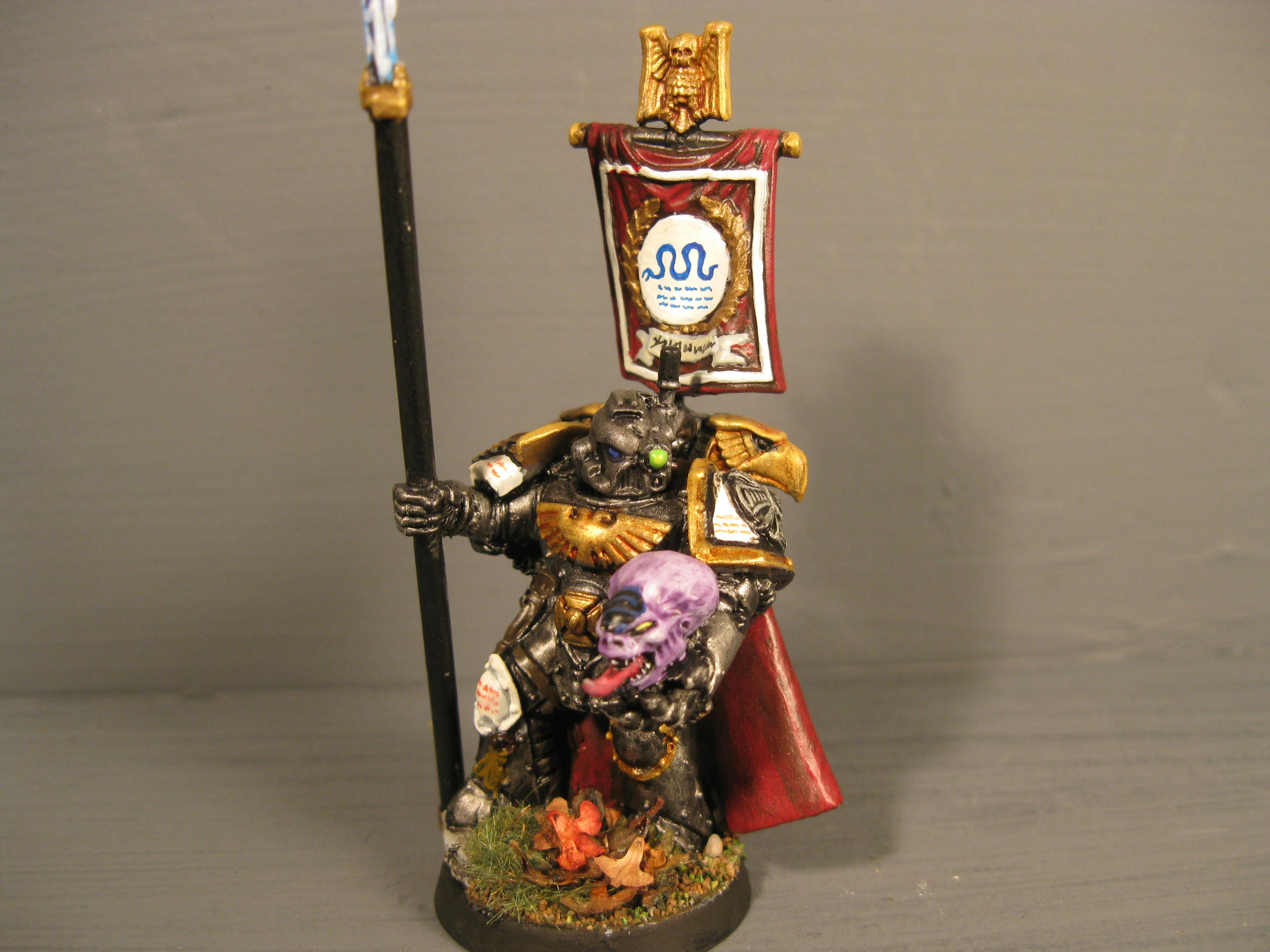Iron Snakes, Pro Painted, Space Marines, Warhammer 40,000 - Gallery ...