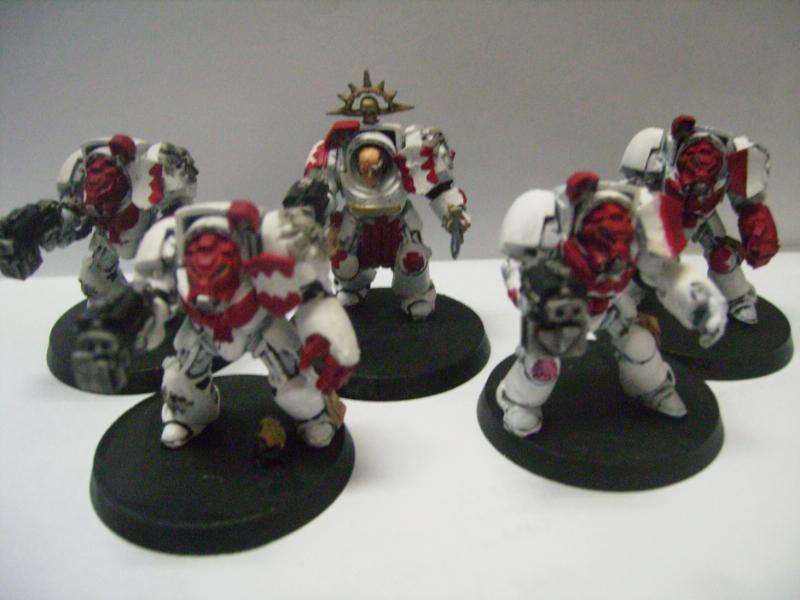White Scars Terminators - White Scars Terminators - Gallery - DakkaDakka