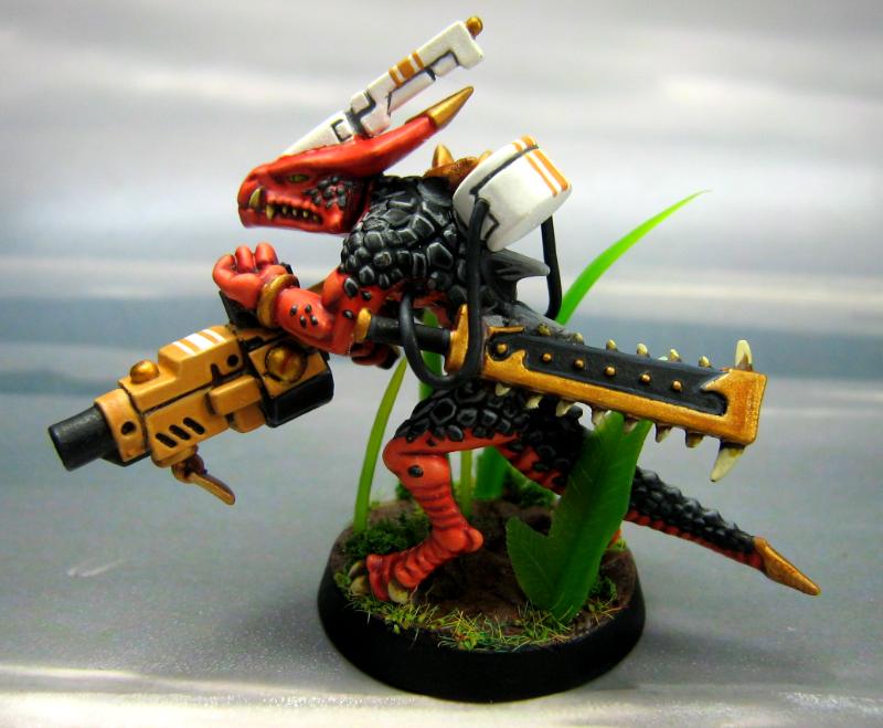 Kroot, Lizardmen, Tau - Gallery - DakkaDakka
