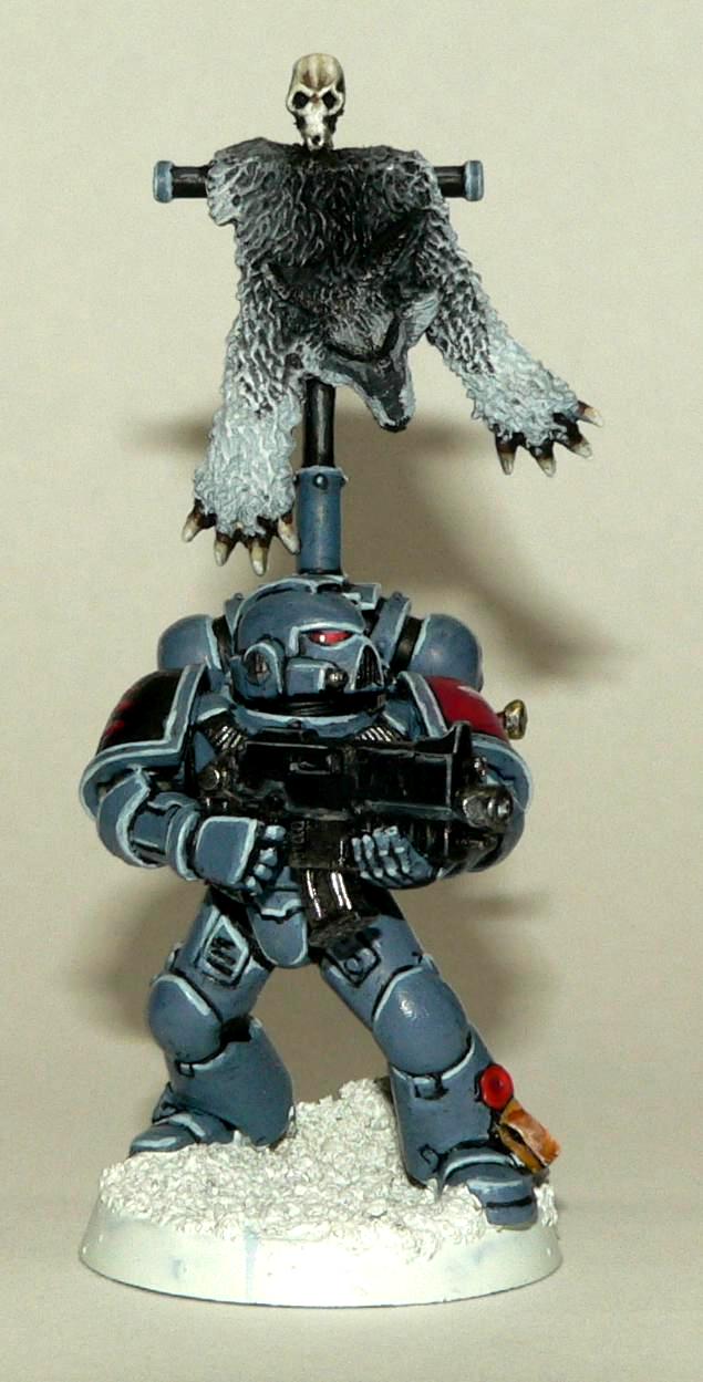 Space Wolves, Grey Hunters Pack Skagi's Wolf Standard - Grey Hunters ...