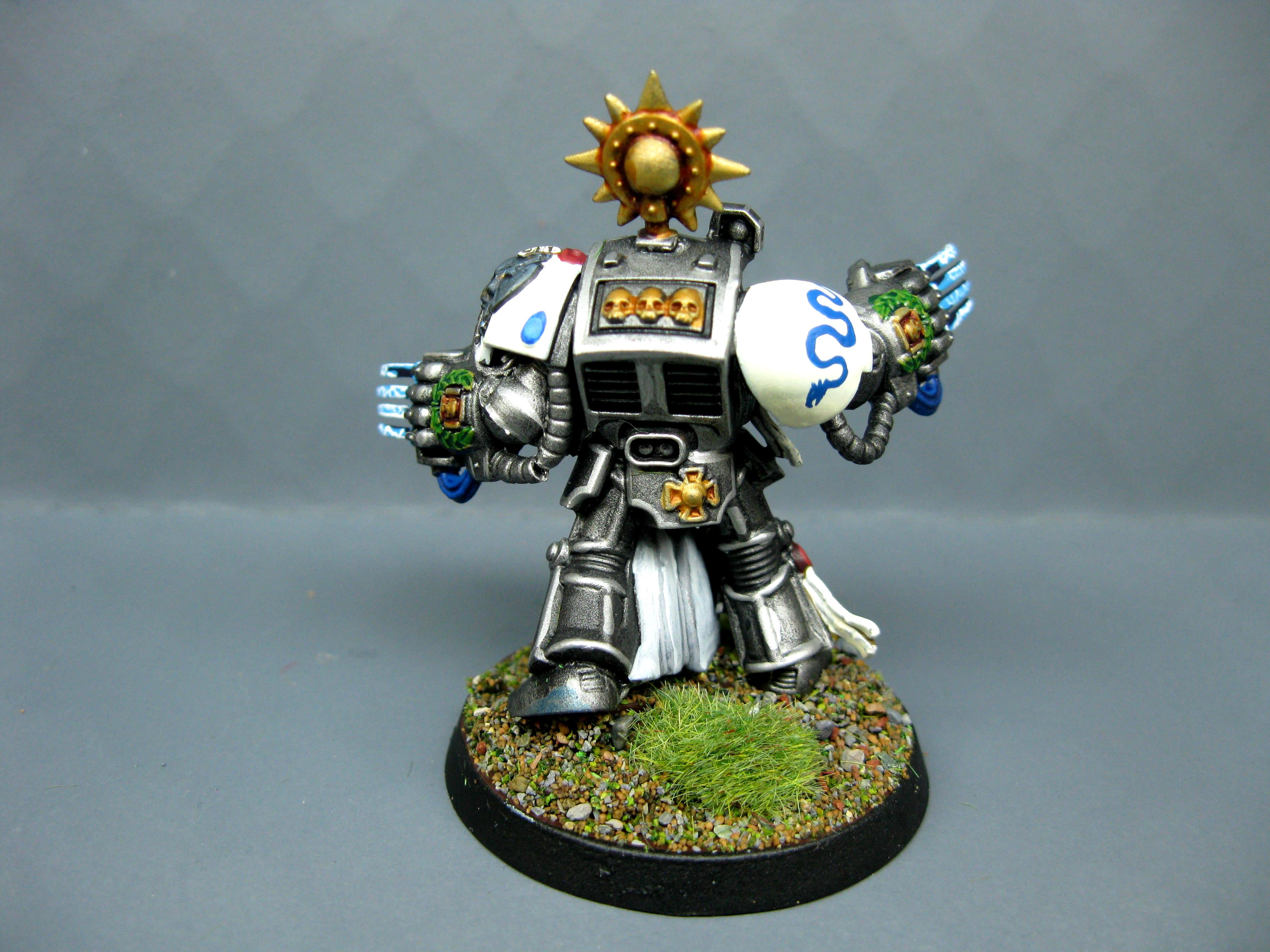 Iron Snakes, Pro Painted, Space Marines, Warhammer 40,000 - Gallery ...