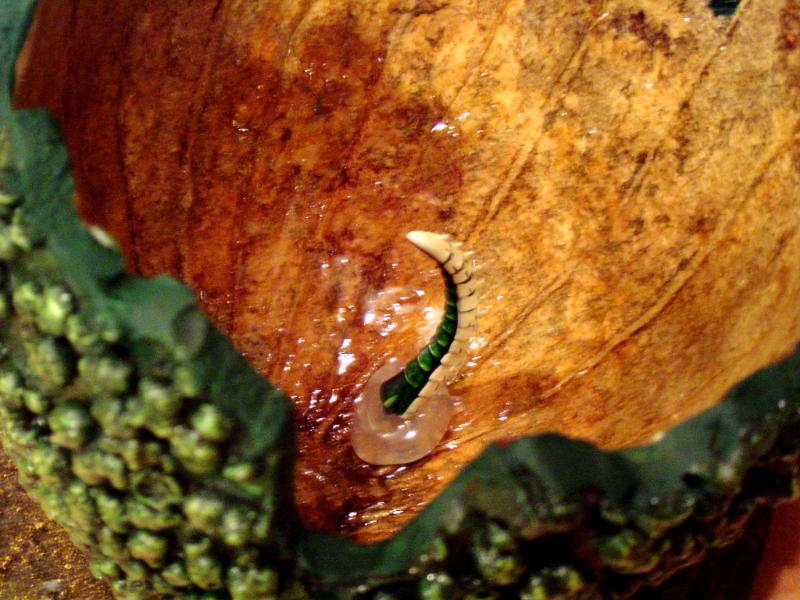 Mycetic Spores, Spore Pod, Spores, Tyranids - 9 - Gallery - DakkaDakka