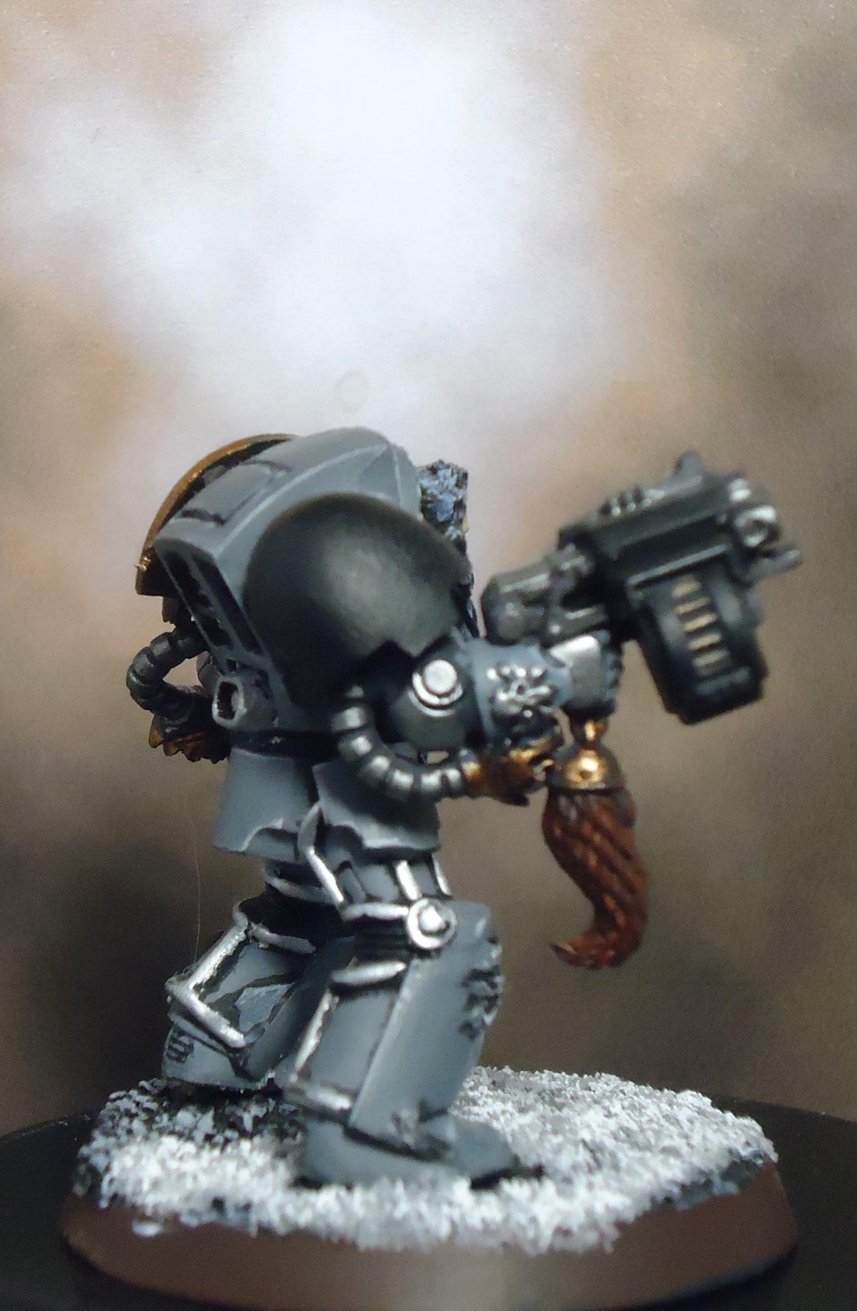 Space Marines, Space Wolves, Terminator Armor, Wolf Claws, Wolf Guard ...