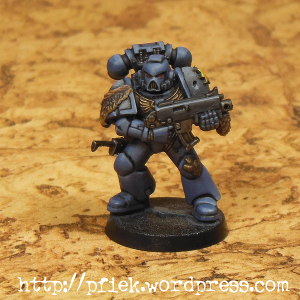 Homebrew Chapter, Space Marines, Space Wolves - Color scheme test ...