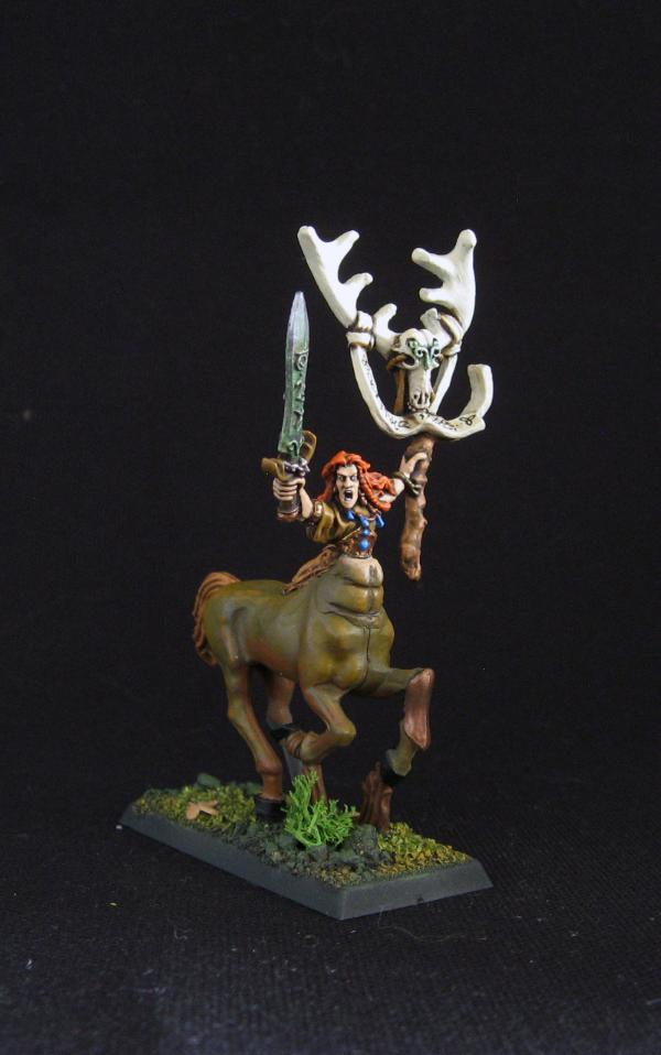 Wood Elf Centaurs and Characters [Commission] - Forum - DakkaDakka