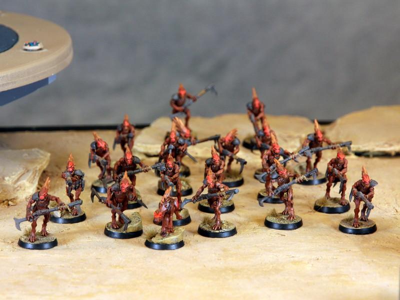 Army, Bork'an, Kroot, Tau, Troops, Warhammer 40,000 - Redbeard's Bork ...