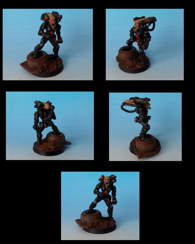 Culexus Assassin, Culexus Assassin - Culexus Assassin - Gallery ...