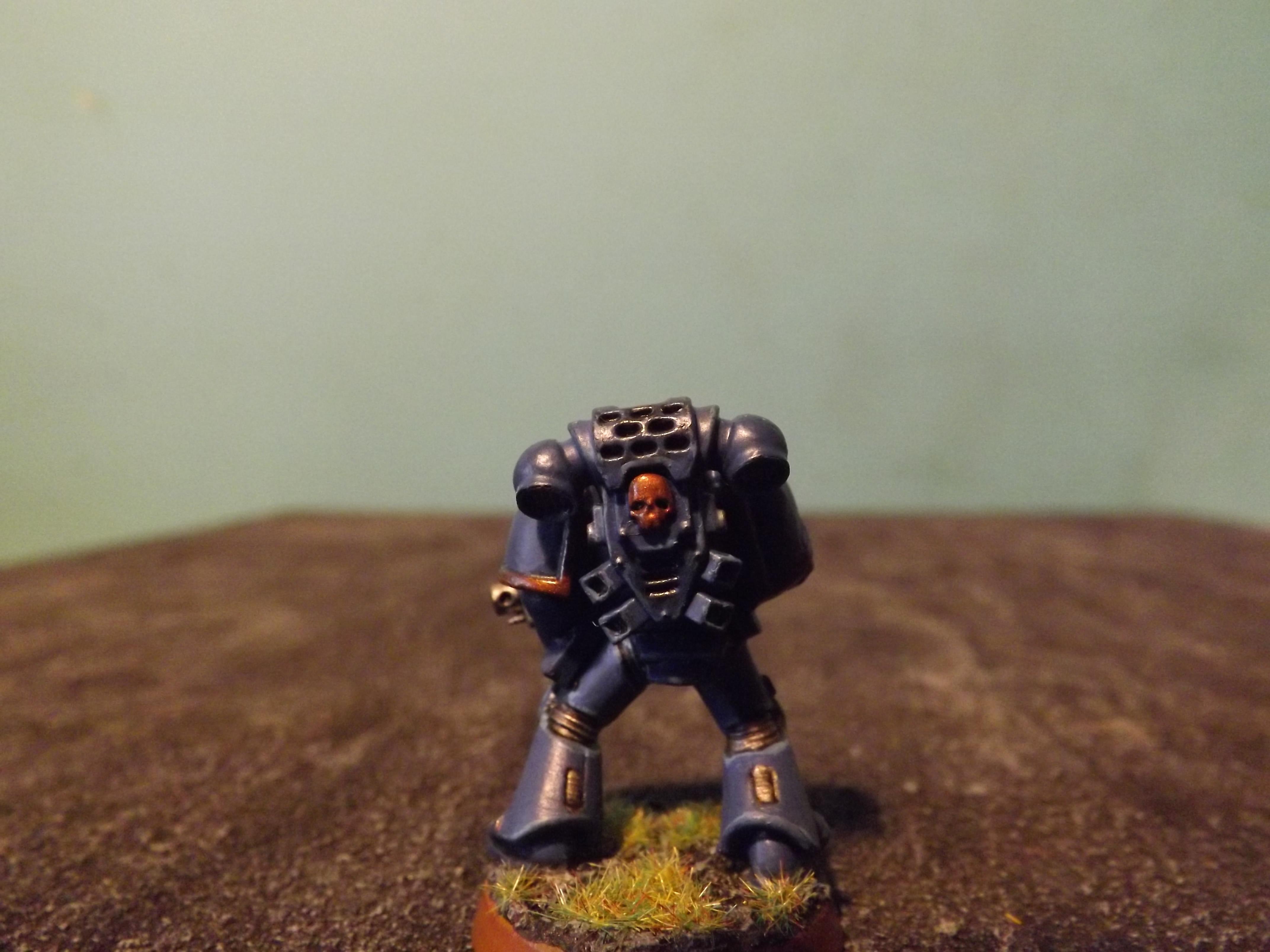 Ultramarines, Test Marine Ultramarine (Back) - Test Marine Ultramarine ...