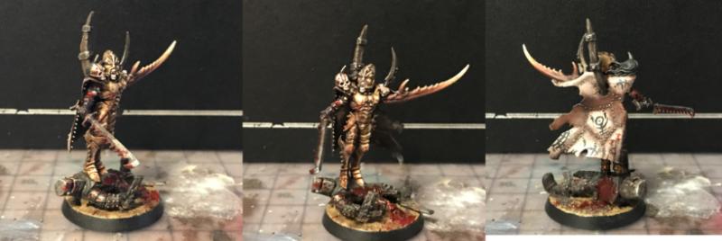 Aos28, Chaos, Cult, Dark, Drucii, Elves, Mordheim, Possessed, Slaanesh ...